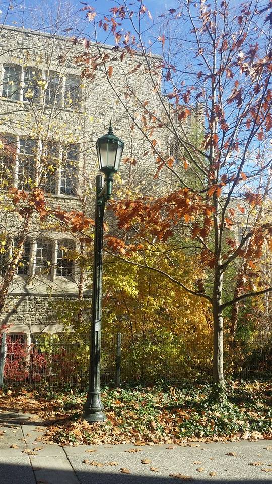 Struggling with September Sadness – FIT IS A FEMINIST ISSUE