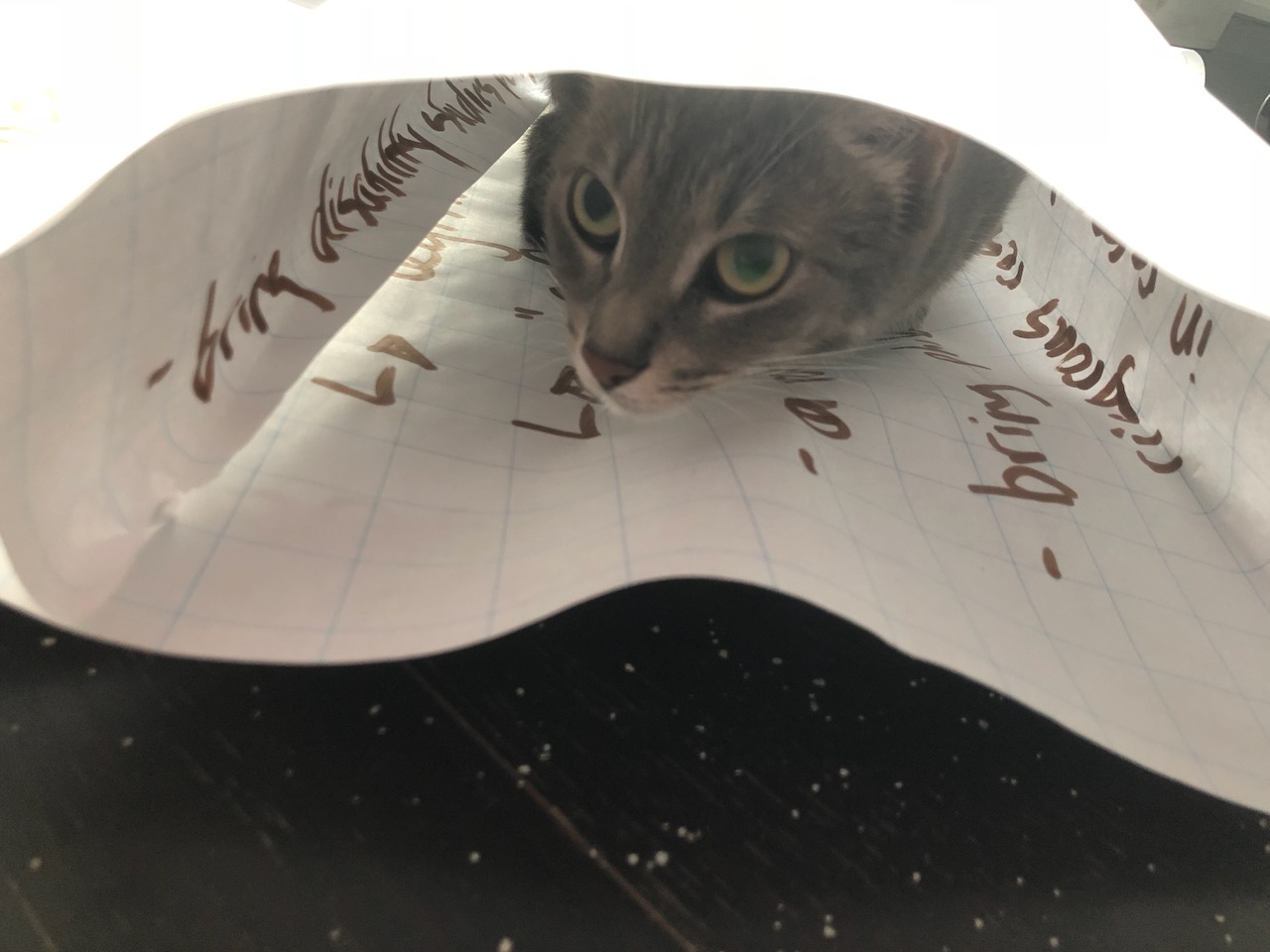 img_1864 – FIT IS A FEMINIST ISSUE