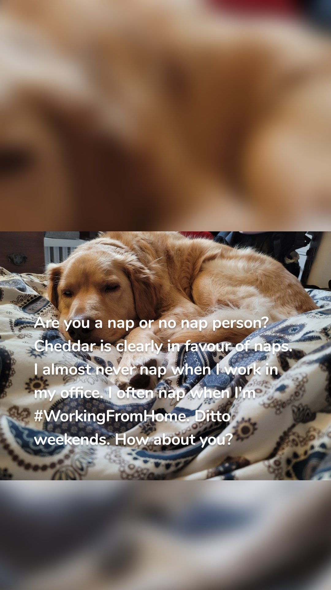 Are you an afternoon napper? – FIT IS A FEMINIST ISSUE