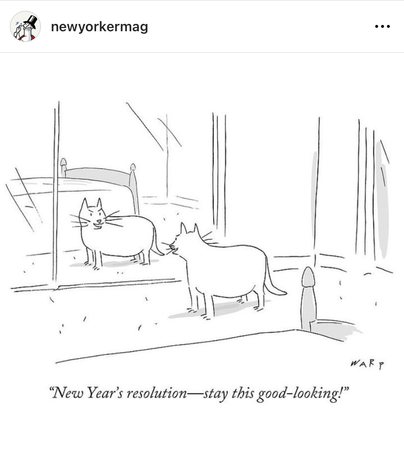 New year, new you, who dis? – FIT IS A FEMINIST ISSUE