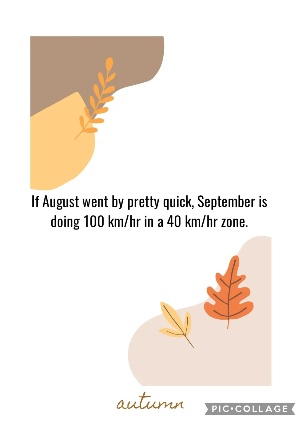 Sam is setting some September intentions – FIT IS A FEMINIST ISSUE