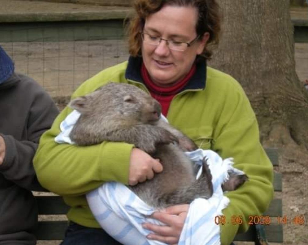 Happy World Wombat Day! – FIT IS A FEMINIST ISSUE