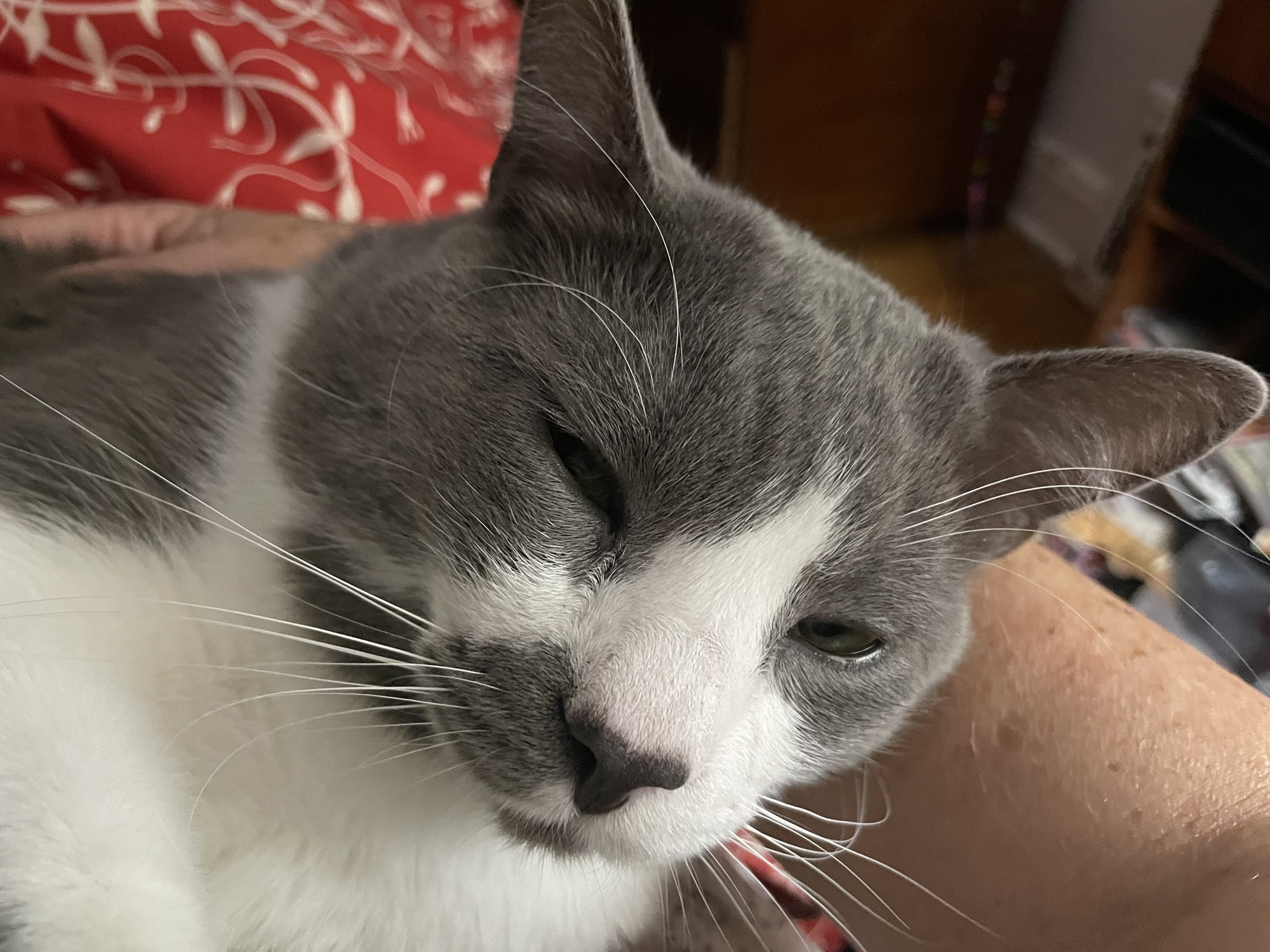 Beginning the Year as I Mean to Go On – FIT IS A FEMINIST ISSUE